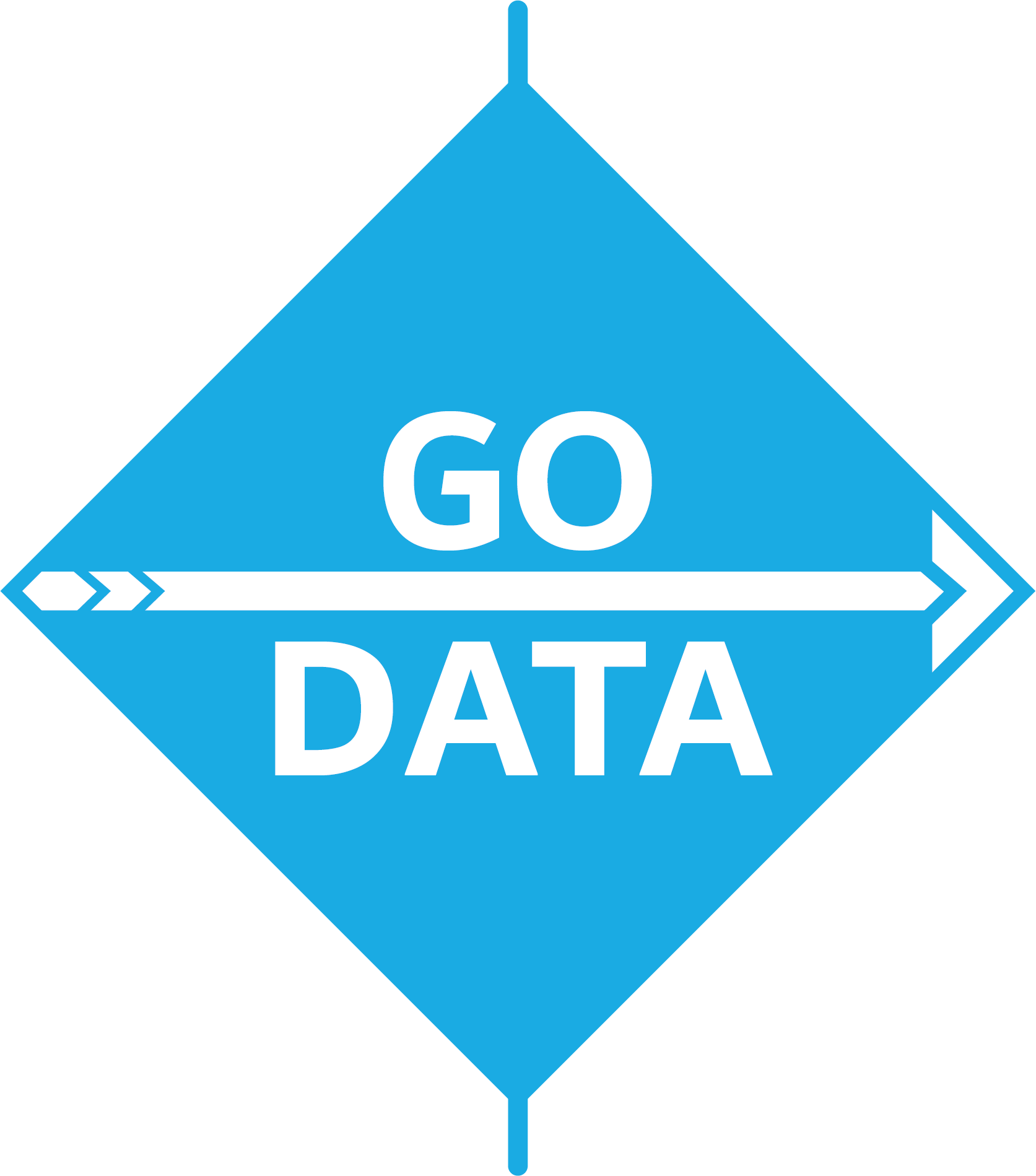 Go Data – IT Leadership & Advisory